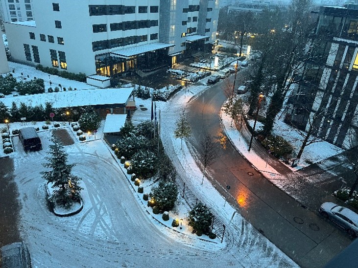 Sofico Marathon Ambassador Program